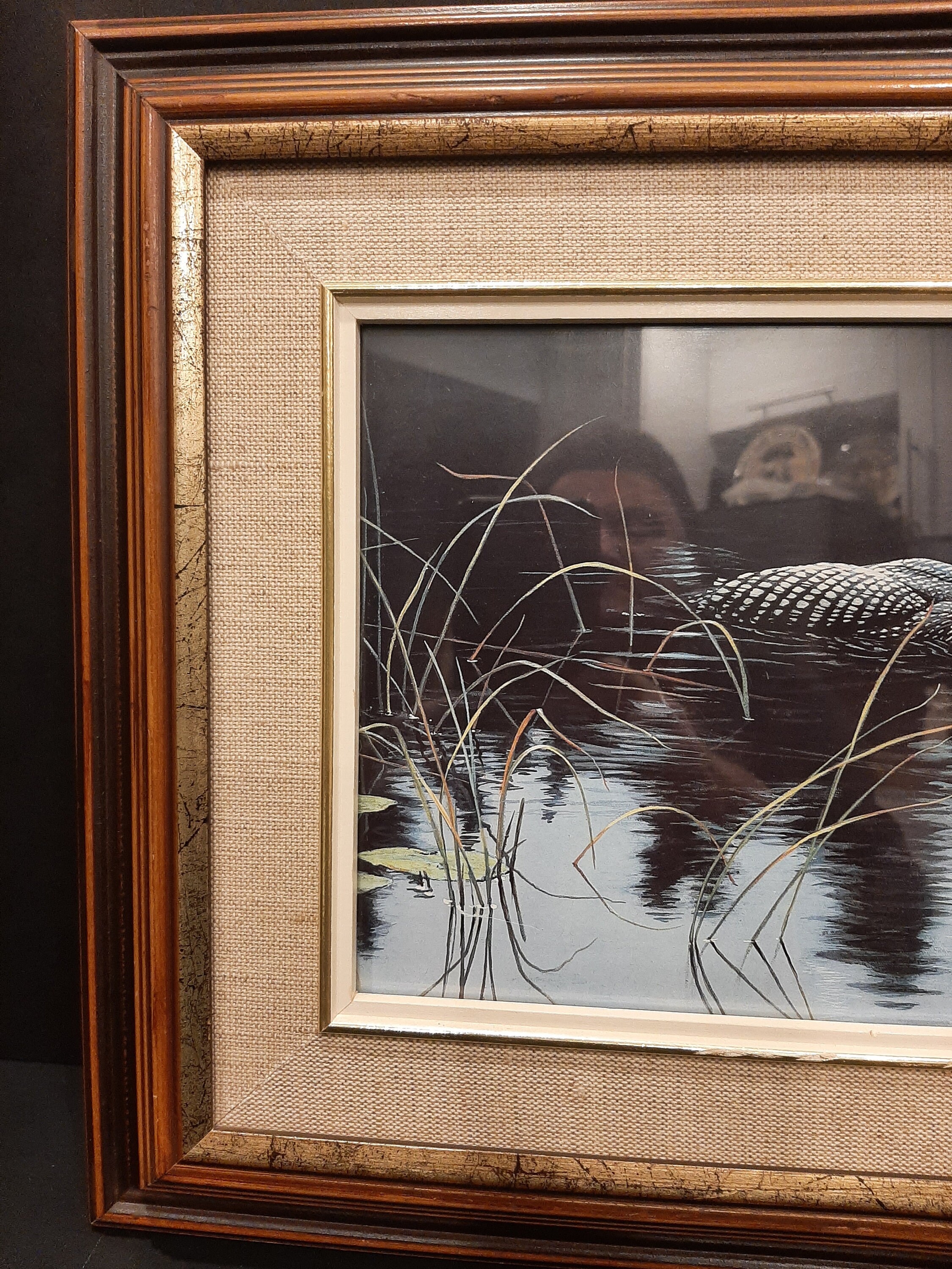 ROBERT BATEMAN born 24 May 1930 Canadian Naturalist & Painter Vintage ...