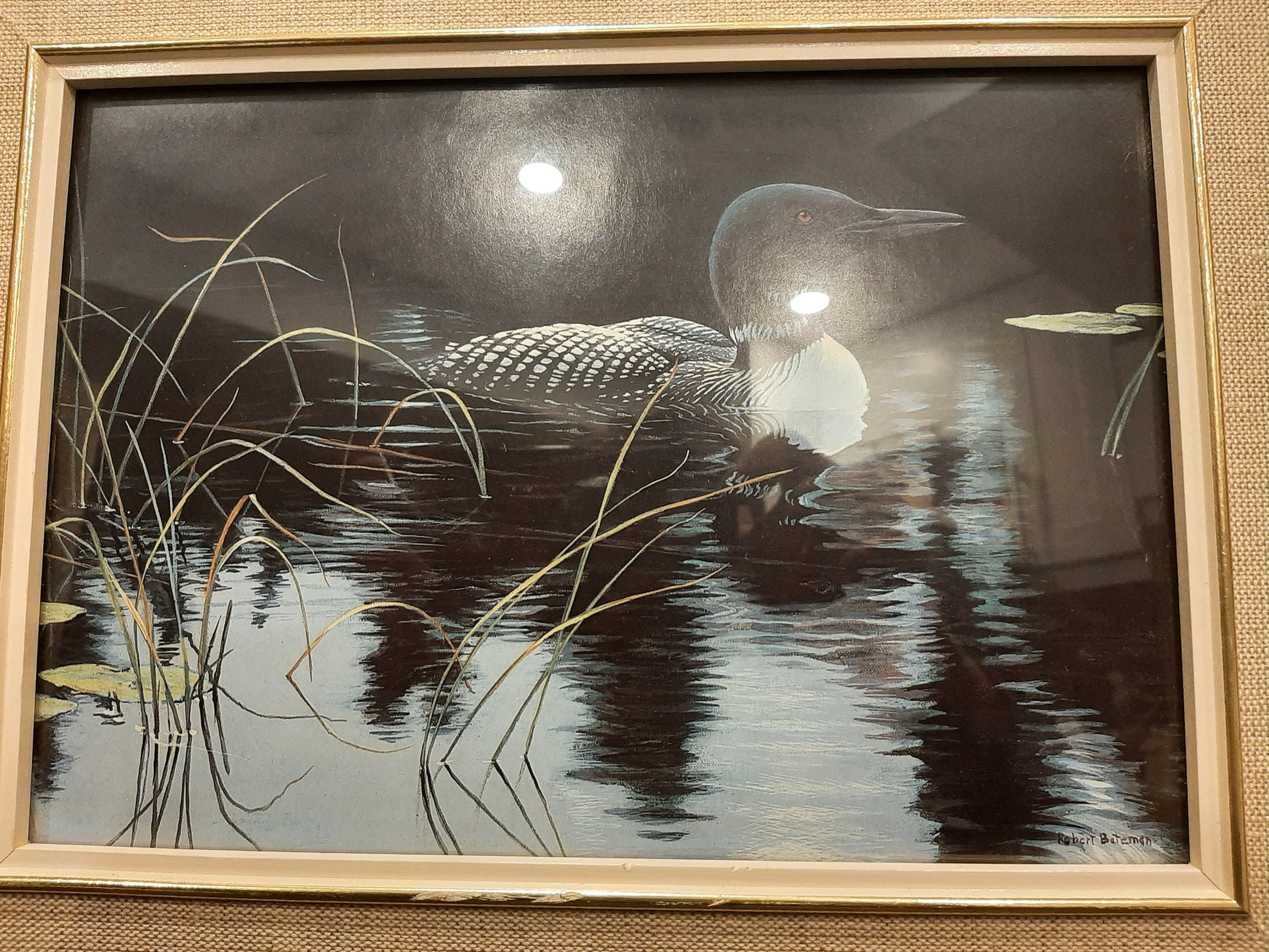 ROBERT BATEMAN born 24 May 1930 Canadian Naturalist & Painter Vintage ...