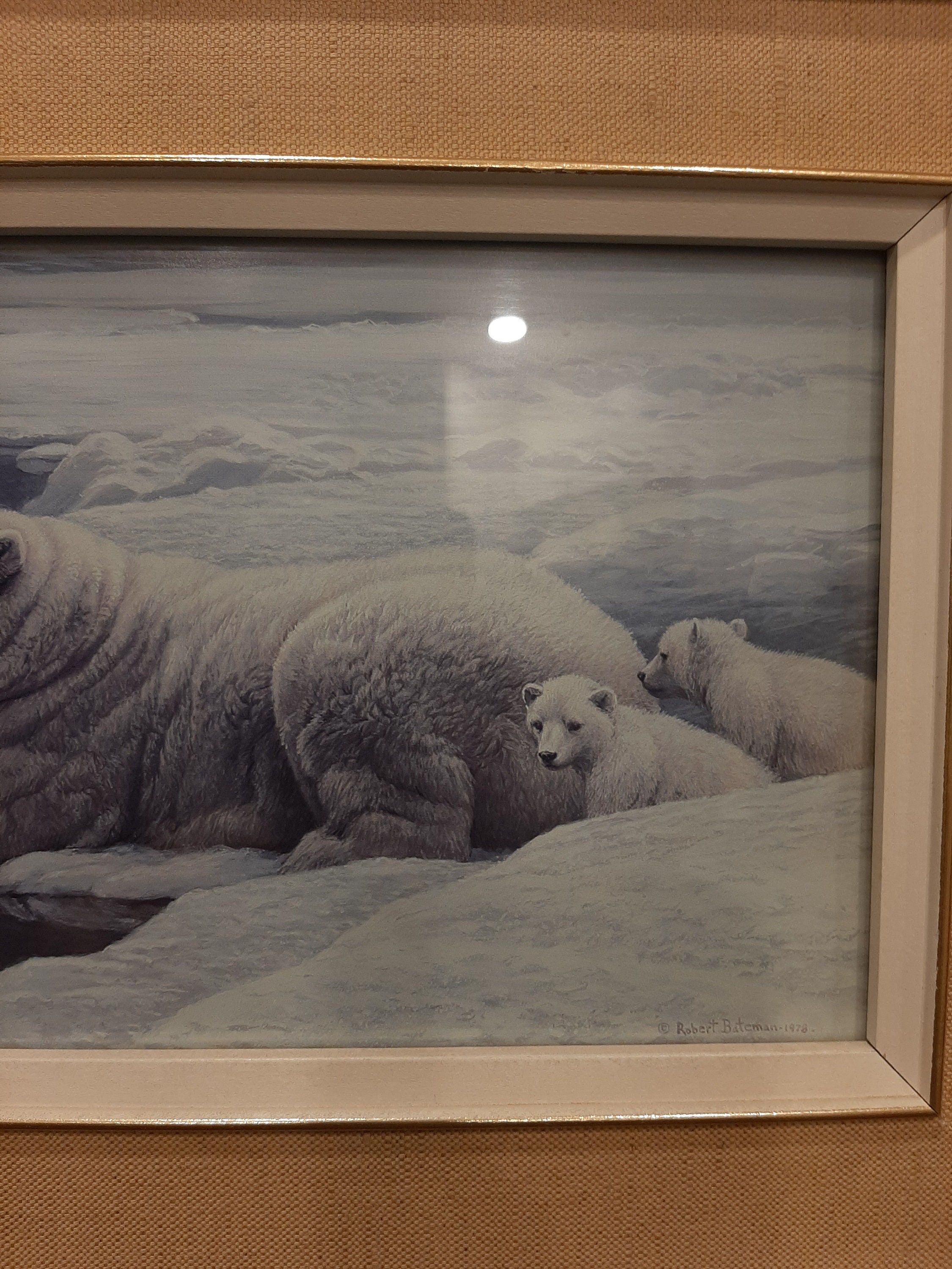 ROBERT BATEMAN born 24 May 1930 Canadian Naturalist & Painter Vintage ...