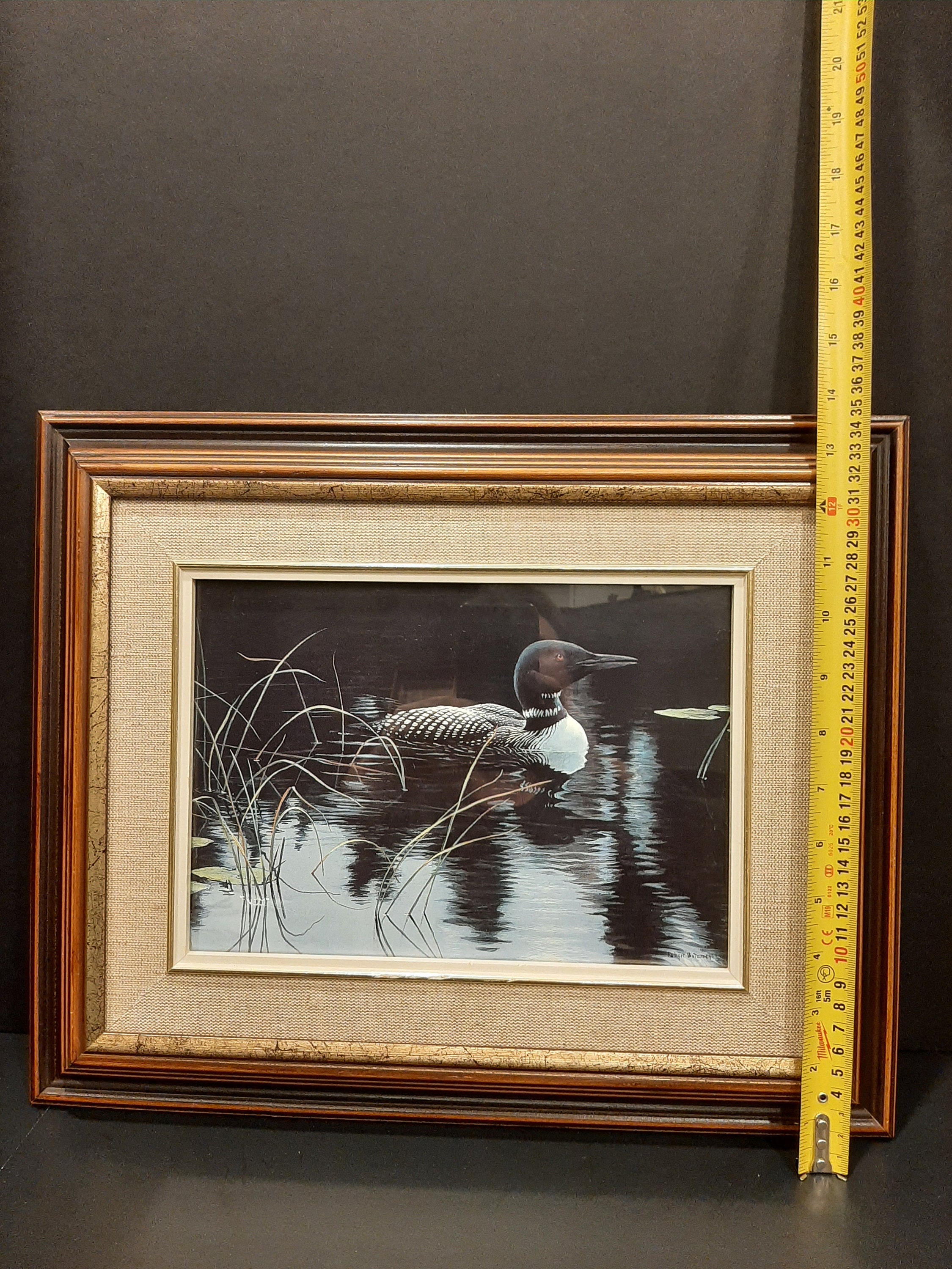 ROBERT BATEMAN born 24 May 1930 Canadian Naturalist & Painter Vintage ...