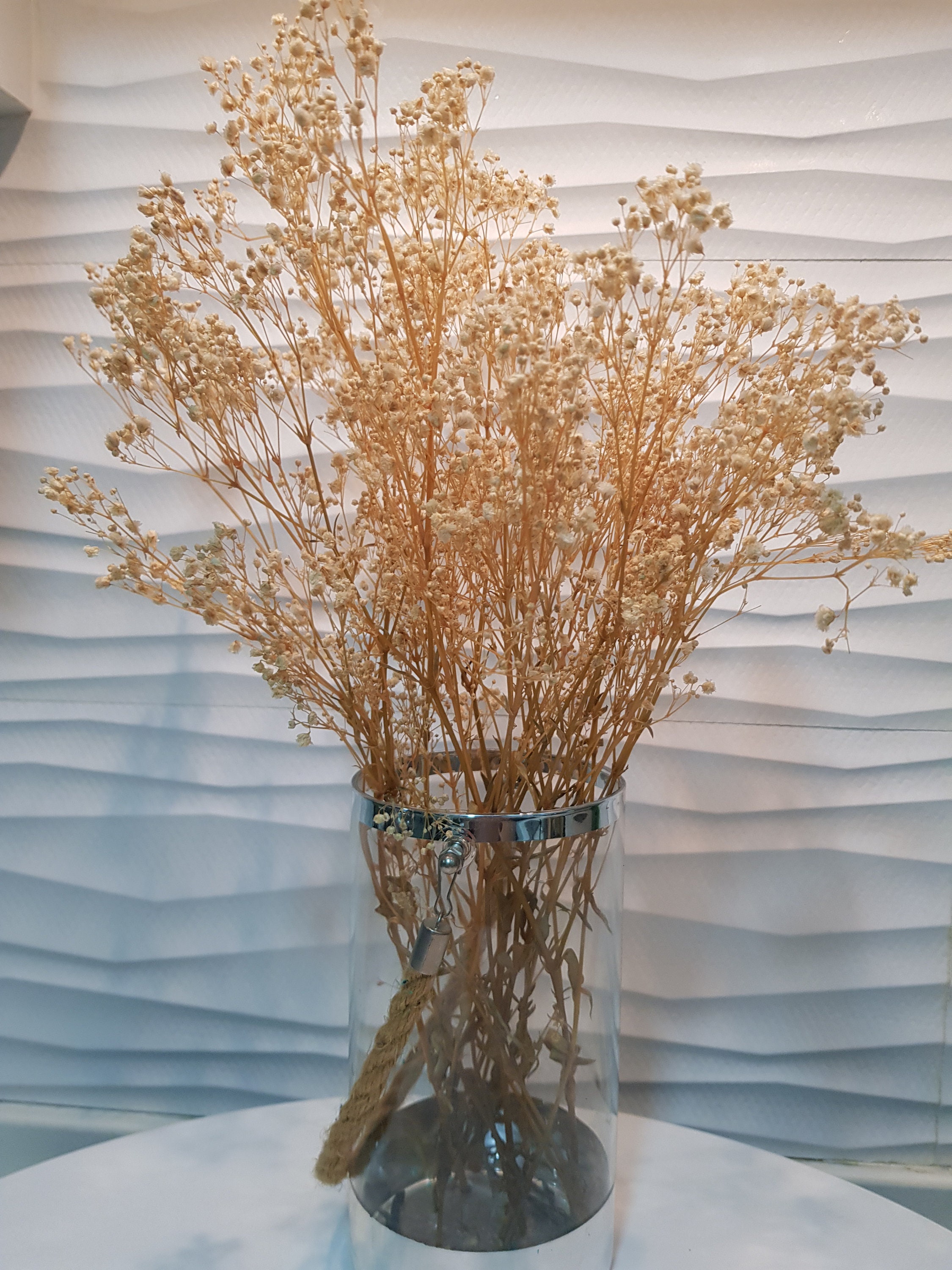 Dried dry gypso flowers-preserved Gypsophila-preserved babies | Etsy