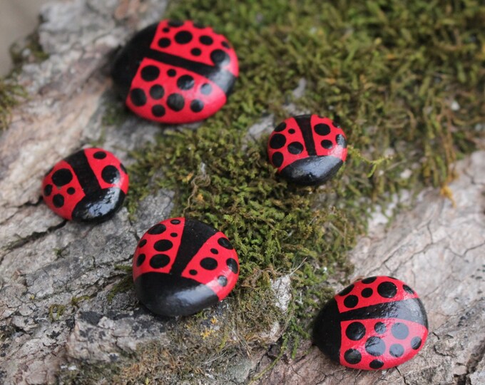 Small Hand Painted Ladybug Rocks set of Five - Etsy