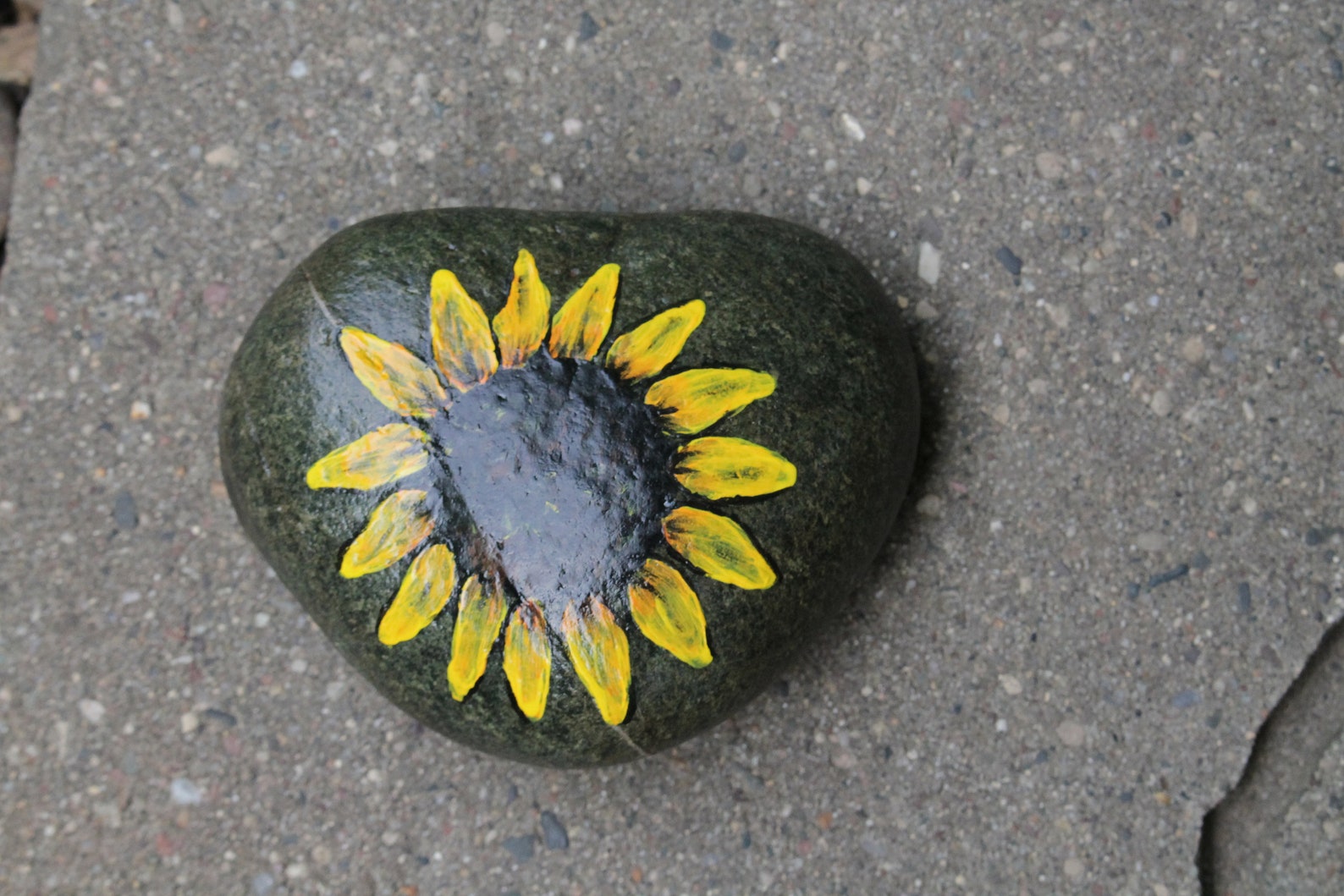 Hand Painted Sunflower Rock - Etsy