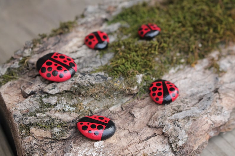 Small Hand Painted Ladybug Rocks set of Five - Etsy