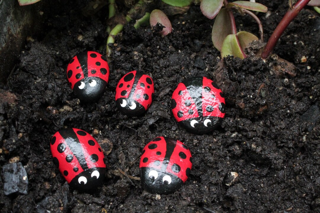 Small Hand Painted Ladybug Rocks (set of Five) - Etsy