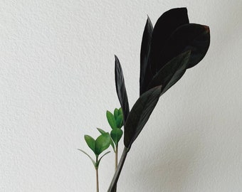 Black Raven Zz - Etsy