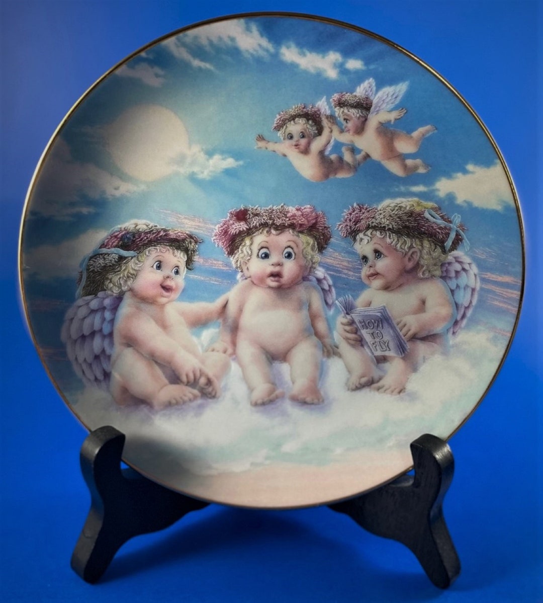 Hamilton Collection Plate “the Flying Lesson” by Kristin Haynes - Etsy