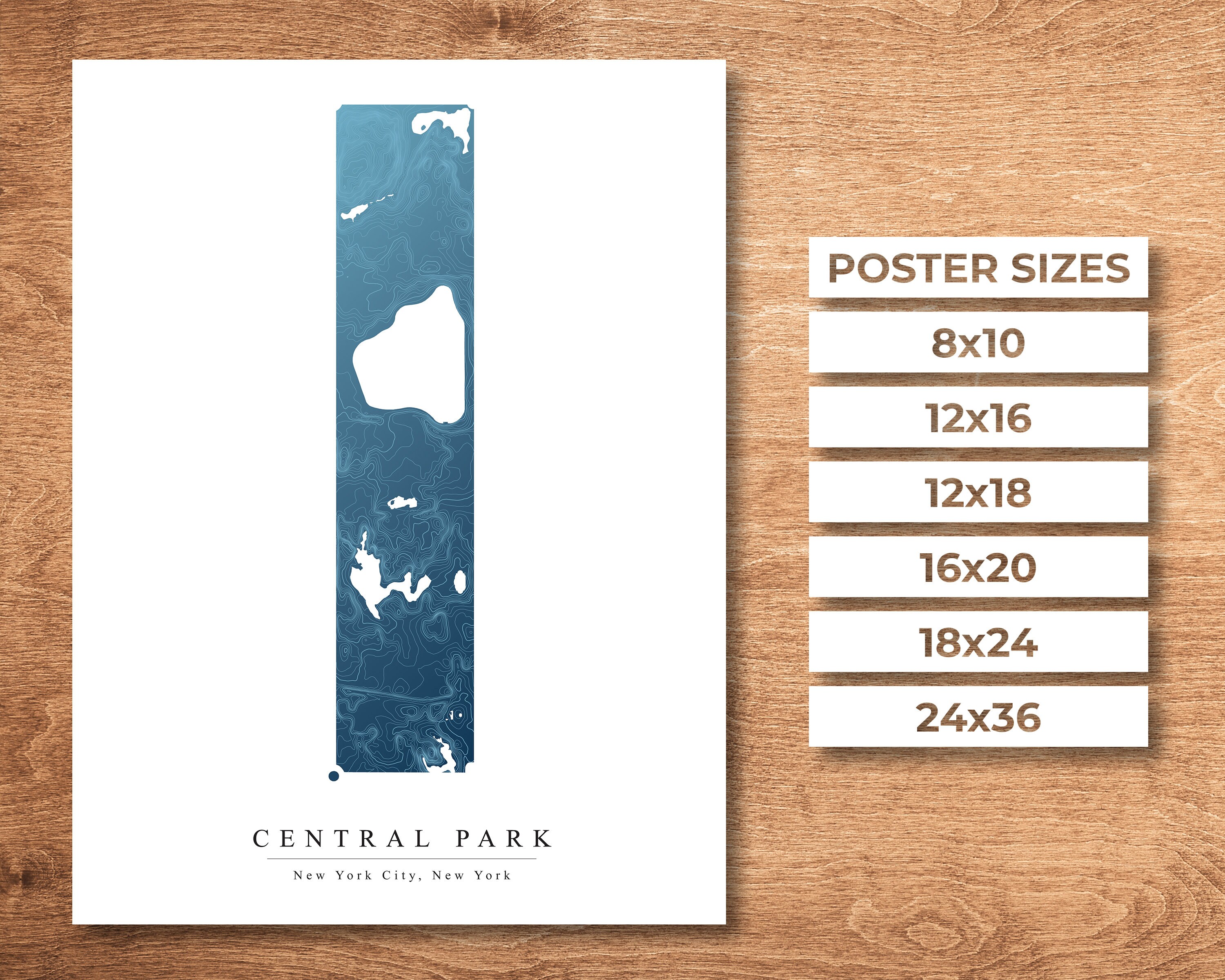 Central Park Poster Central Park Print Topographic Map - Etsy