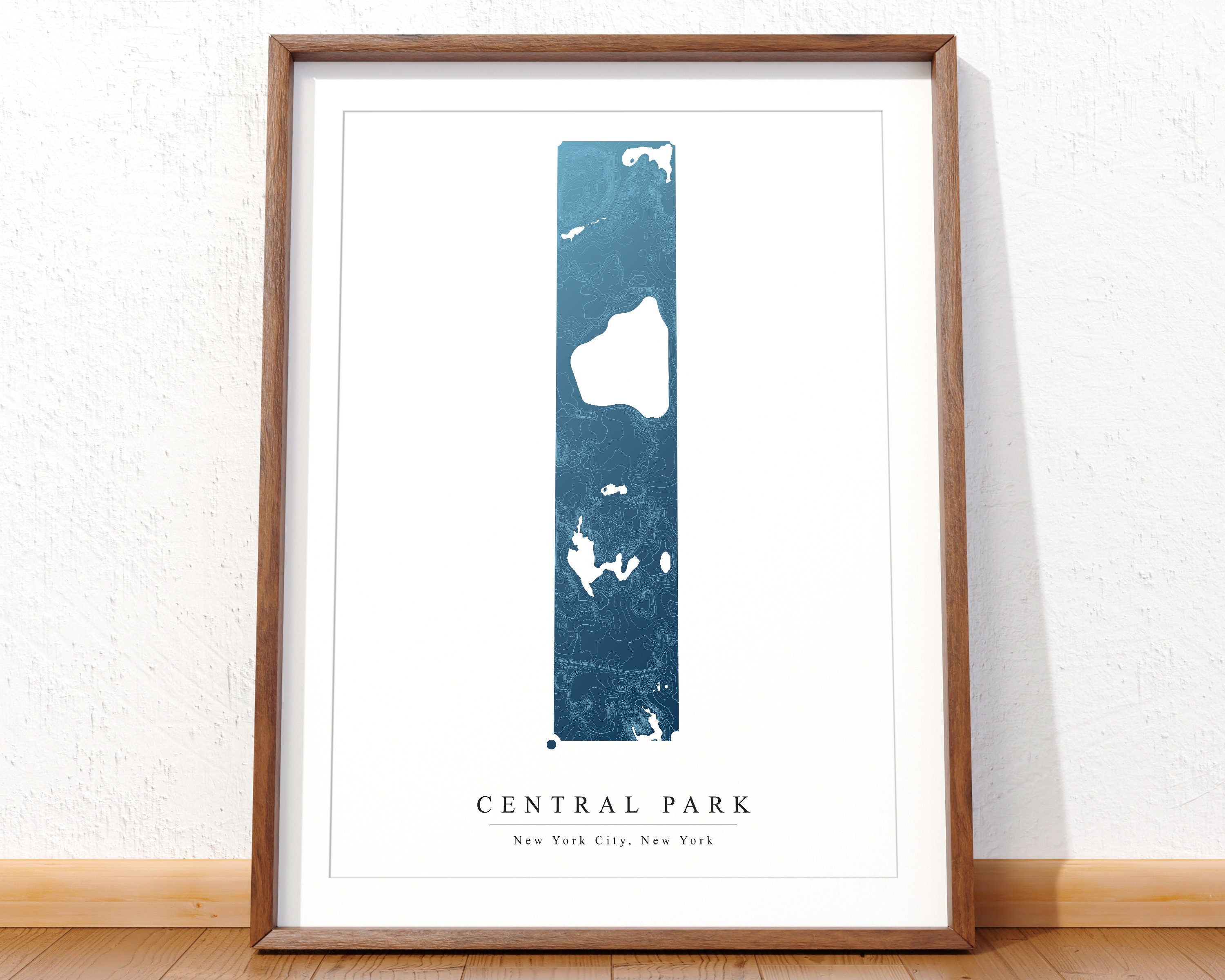 Central Park Poster Central Park Print Topographic Map - Etsy