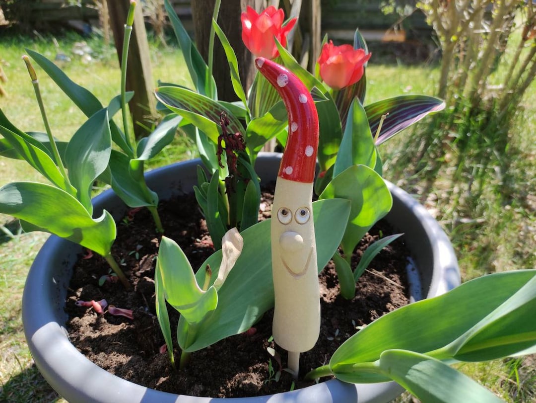 Garden Stake, Pointed Man Made of Ceramic With Colored Pointed Cap of ...