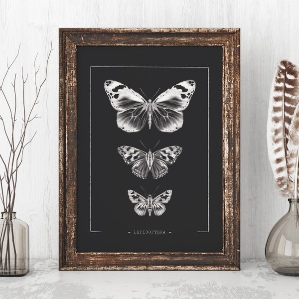 Butterfly Poster - Etsy