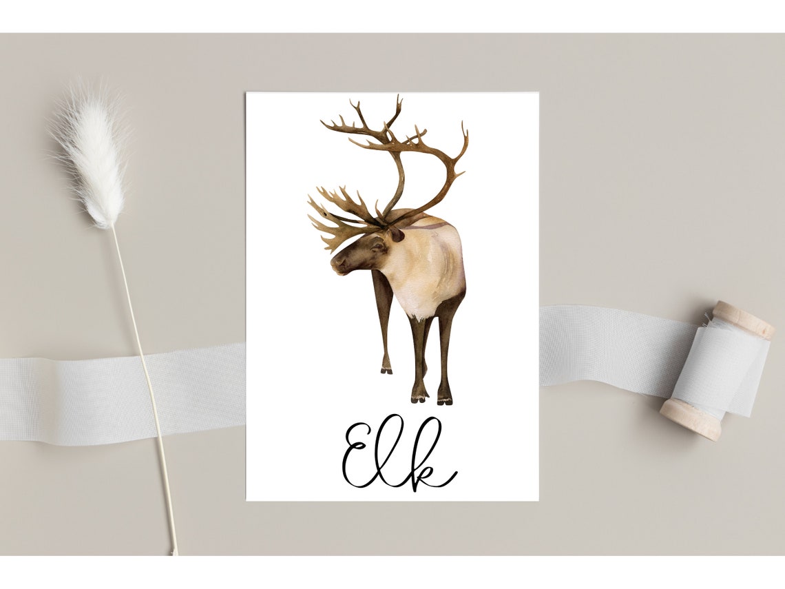 Wildlife Inspired Table Numbers, Wedding Table Number, Party Table ...
