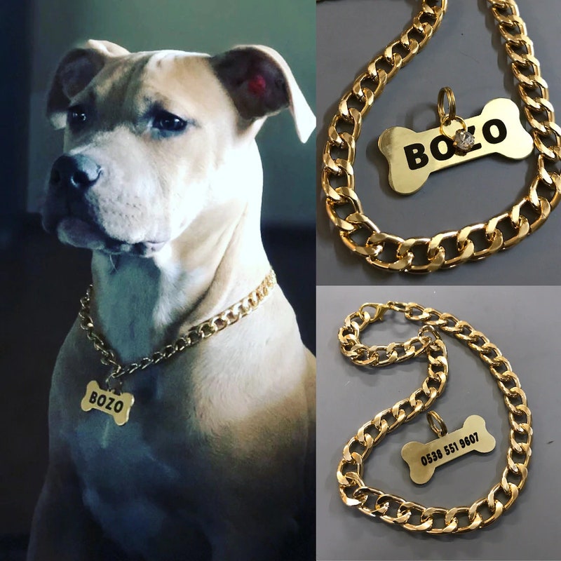 Jewelry for Dogs - Etsy