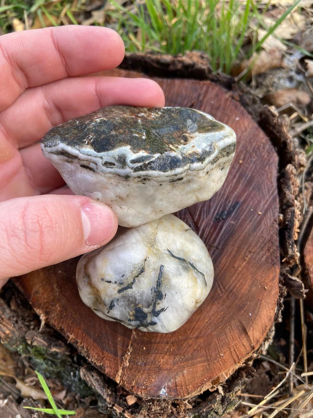 2 Milky Quartz/chalcedony Raw Gemstones With Beautiful Veins. Natural ...