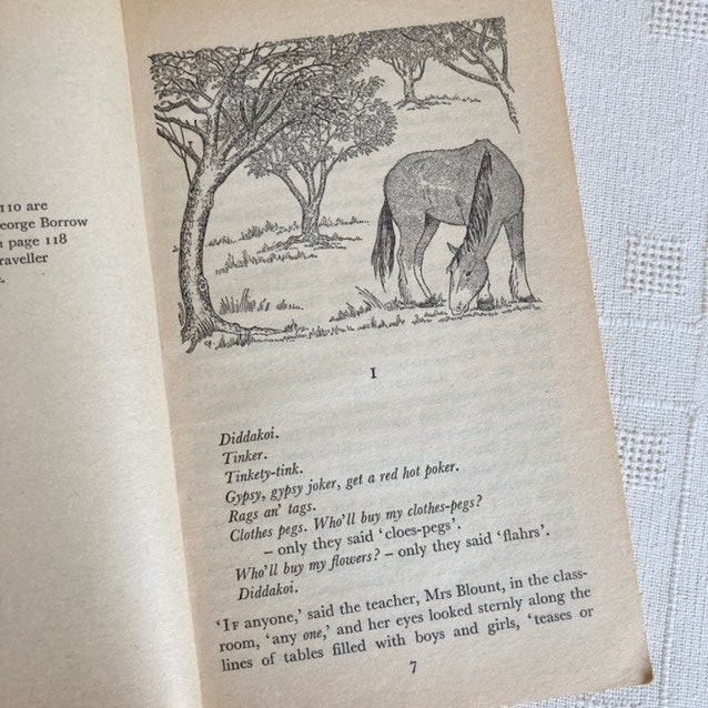 The Diddakoi by Rumer Godden 1975 Vintage Puffin Paperback - Etsy