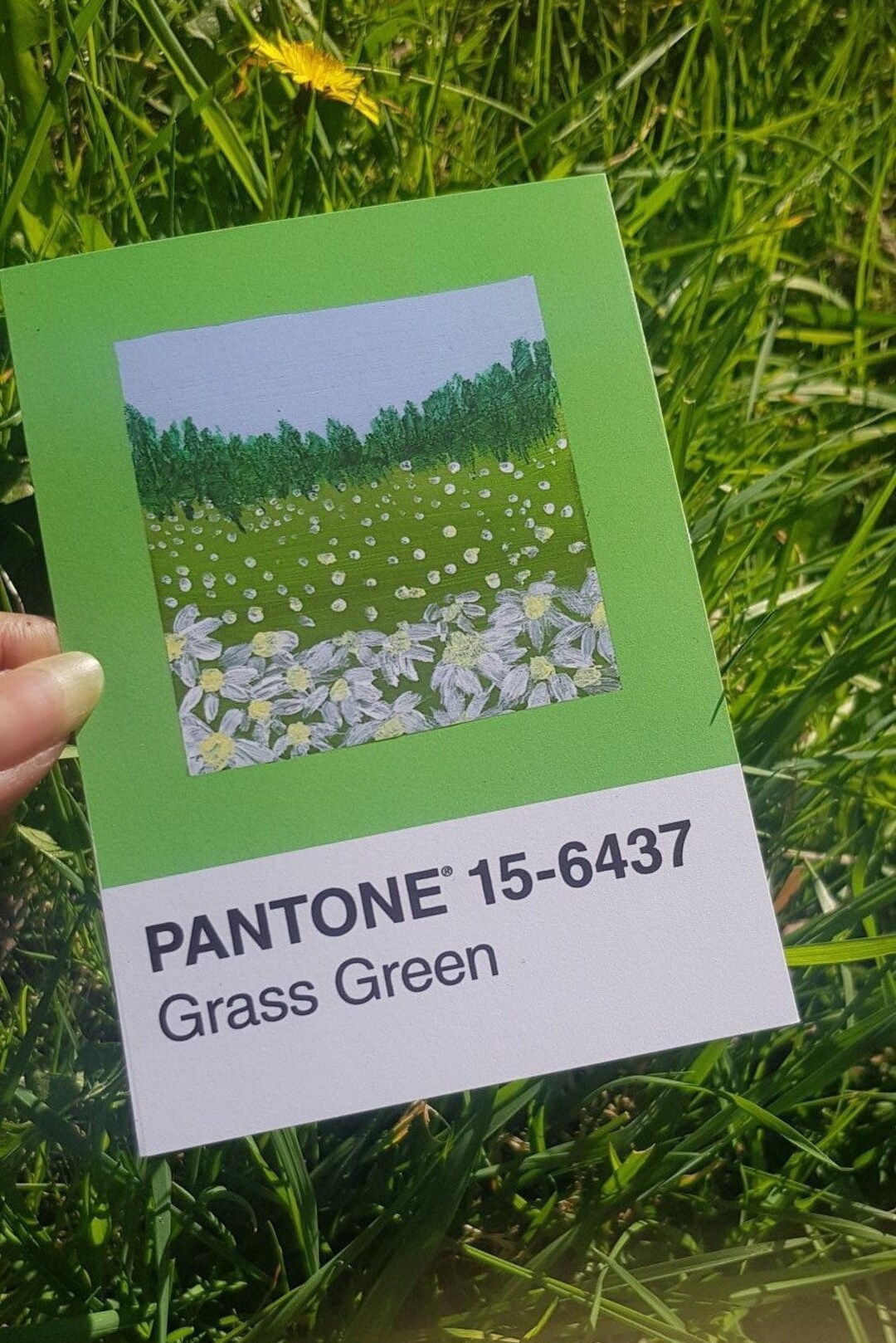 Grass Green Postcard Mini Print Pantone Limited Edition - Etsy