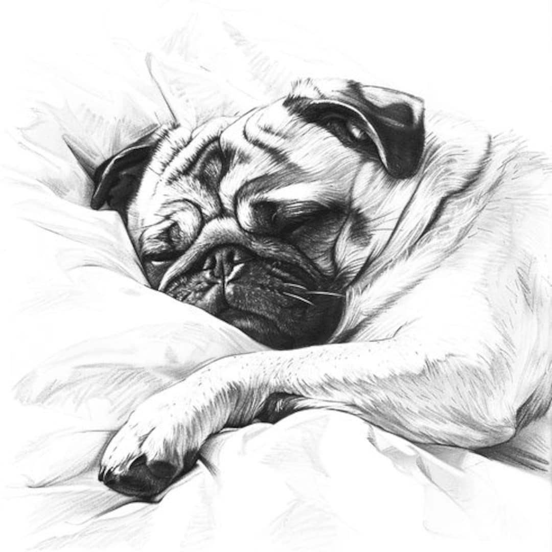 Pug Clipart, Sketch Drawings, Digital Download, Wall Art, Pug Art ...