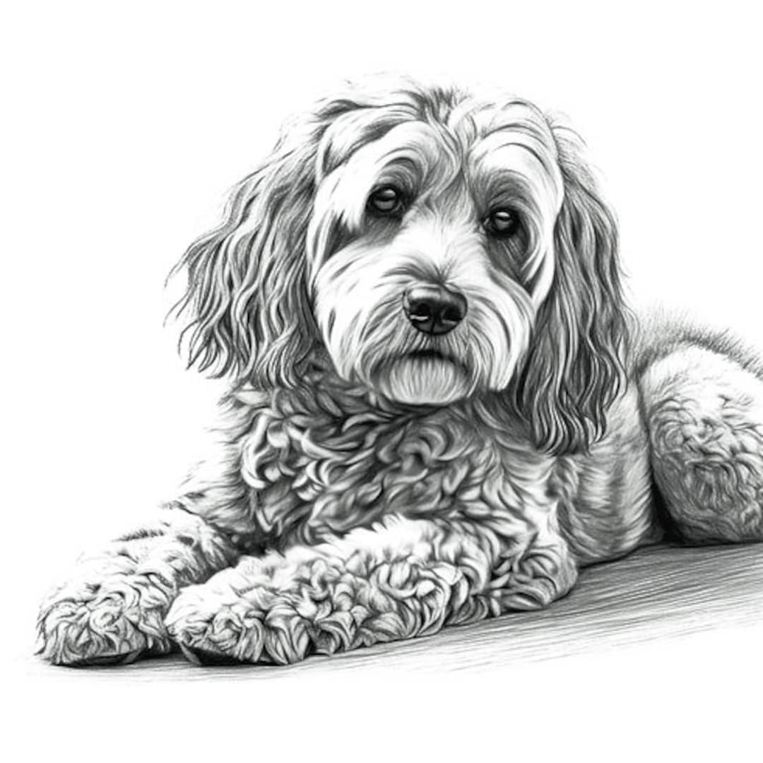 Cockapoo Clipart, Sketch Drawings, Digital Download, Wall Art, Cockapoo ...