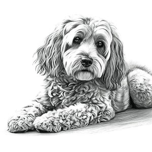 Cockapoo Clipart, Sketch Drawings, Digital Download, Wall Art, Cockapoo Art Painting, Dog ...