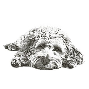 Cockapoo Clipart, Sketch Drawings, Digital Download, Wall Art, Cockapoo ...