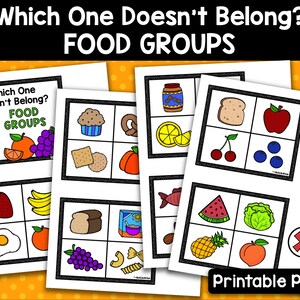 Food Groups Healthy Eating Nutrition Activity Which Food | Etsy