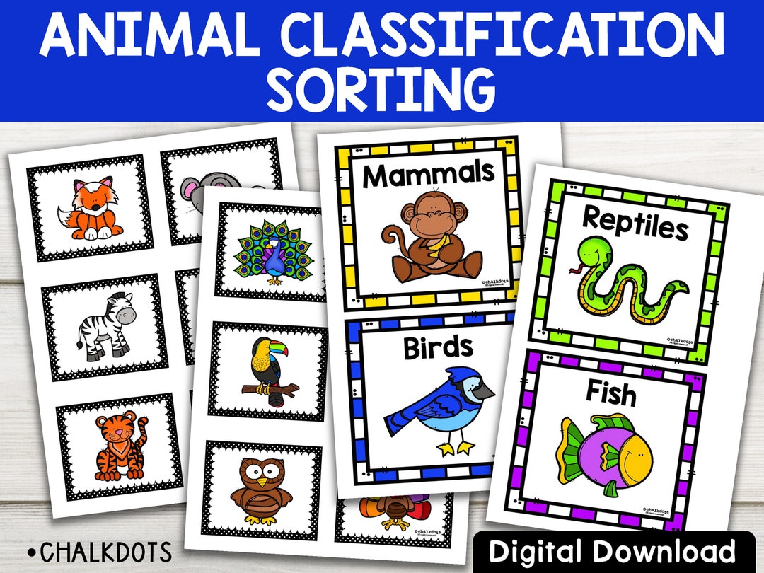 Animal Sort Animal Classification Sorting Activity - Etsy