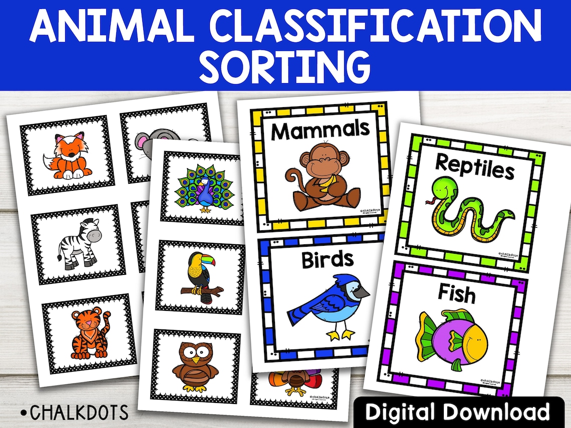 Animal Sort Animal Classification Sorting Activity - Etsy
