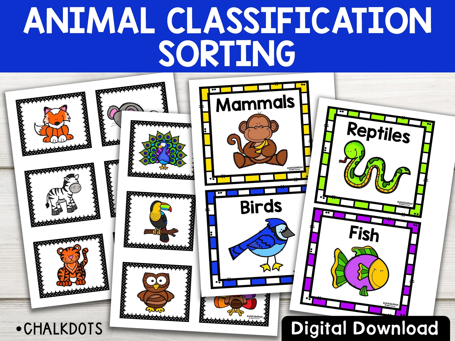 Animal Sort Animal Classification Sorting Activity - Etsy