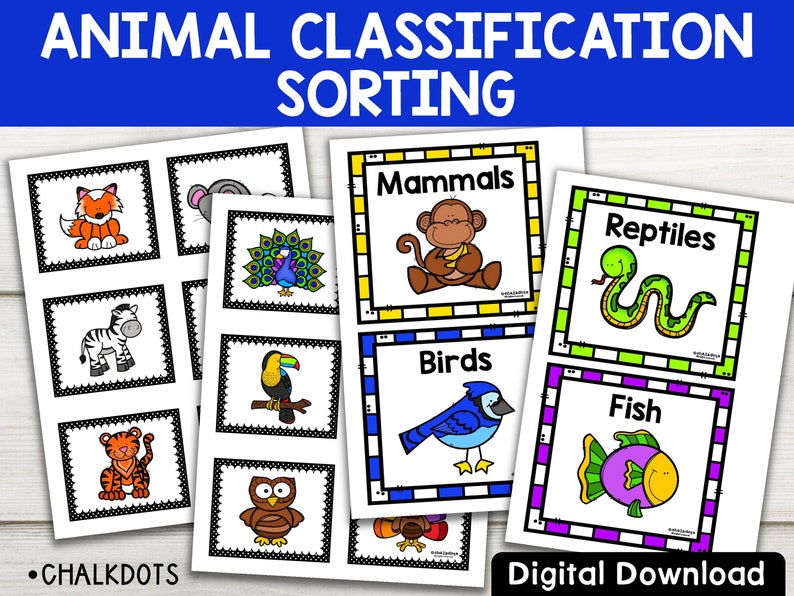 Animal Sort Animal Classification Sorting Activity - Etsy
