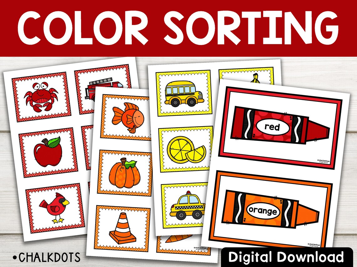 Color Sort Color Recognition Learning the Colors Color - Etsy