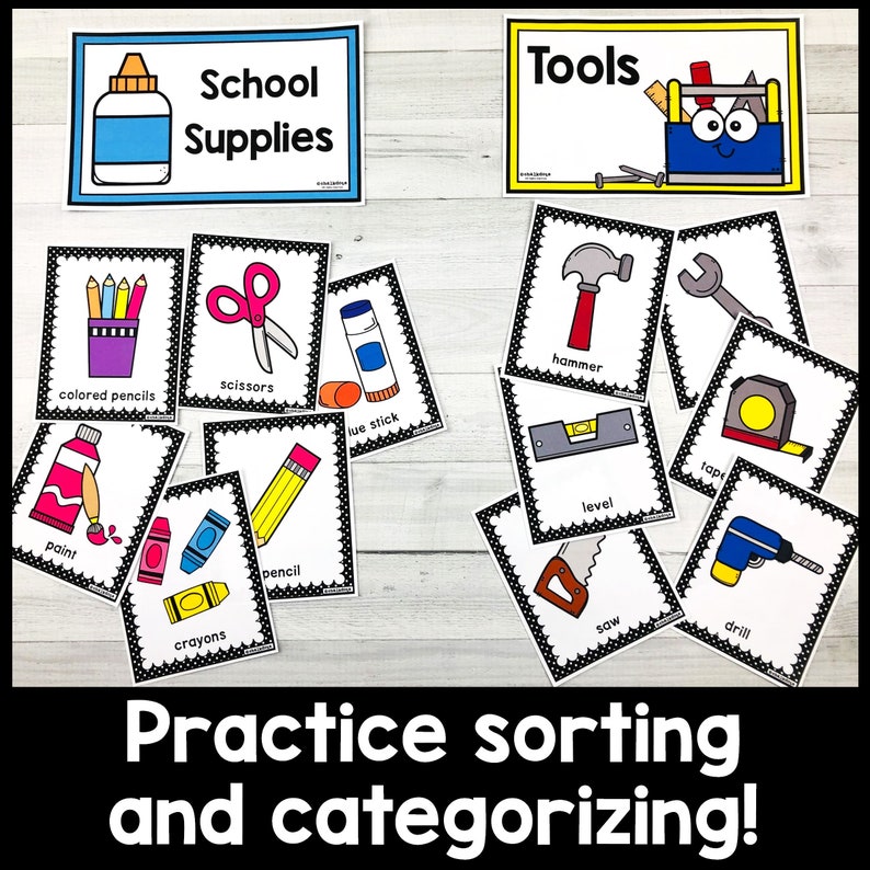 Category Sorting, Classifying Objects, Preschool, Prek, Kindergarten ...