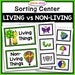 Category Sorting, Classifying Objects, Preschool, Prek, Kindergarten ...