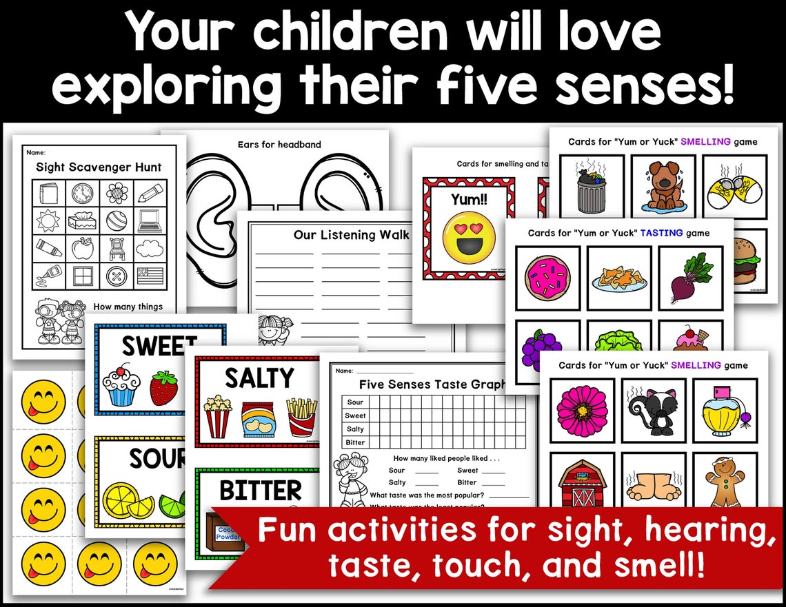 Five Senses Activities, Five Senses Unit, Preschool, Prek, Kindergarten ...