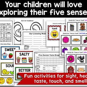 Five Senses Activities, Five Senses Unit, Preschool, Prek, Kindergarten ...