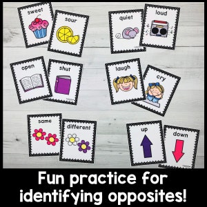 Opposite Match, Matching Game, Opposite Cards, Antonyms, Partner Cards ...