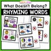 Rhyming Words, Rhyming Words Activity, Which Rhyming Word Doesn't ...