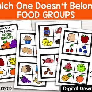 Food Groups Healthy Eating Nutrition Activity Which Food - Etsy