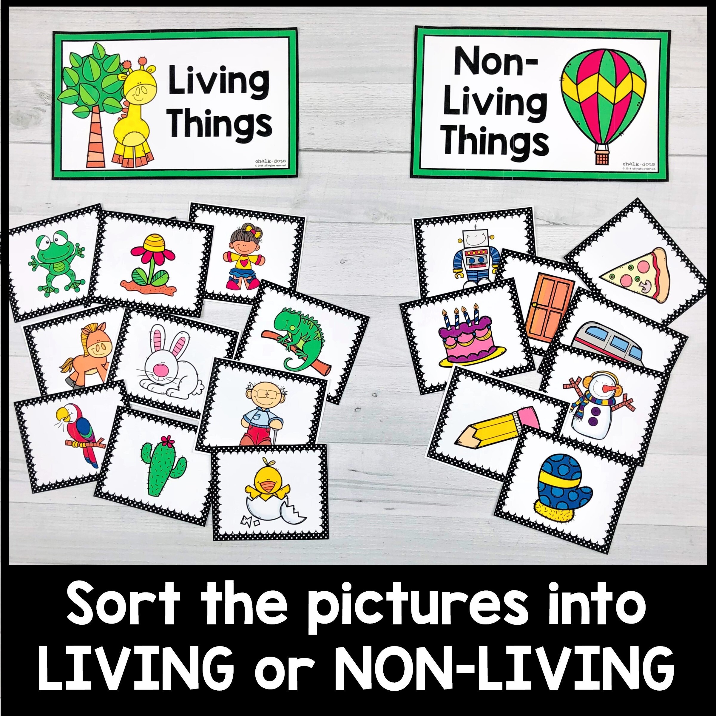 Living and Nonliving Sort Preschool Sort Circle Time - Etsy