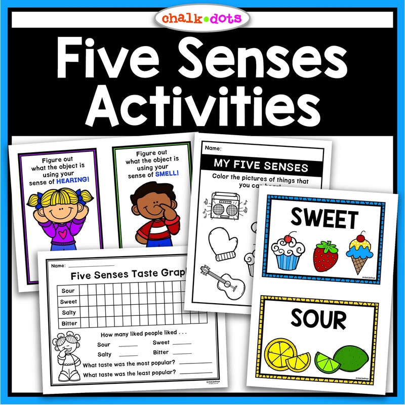 Five Senses Preschool - Etsy