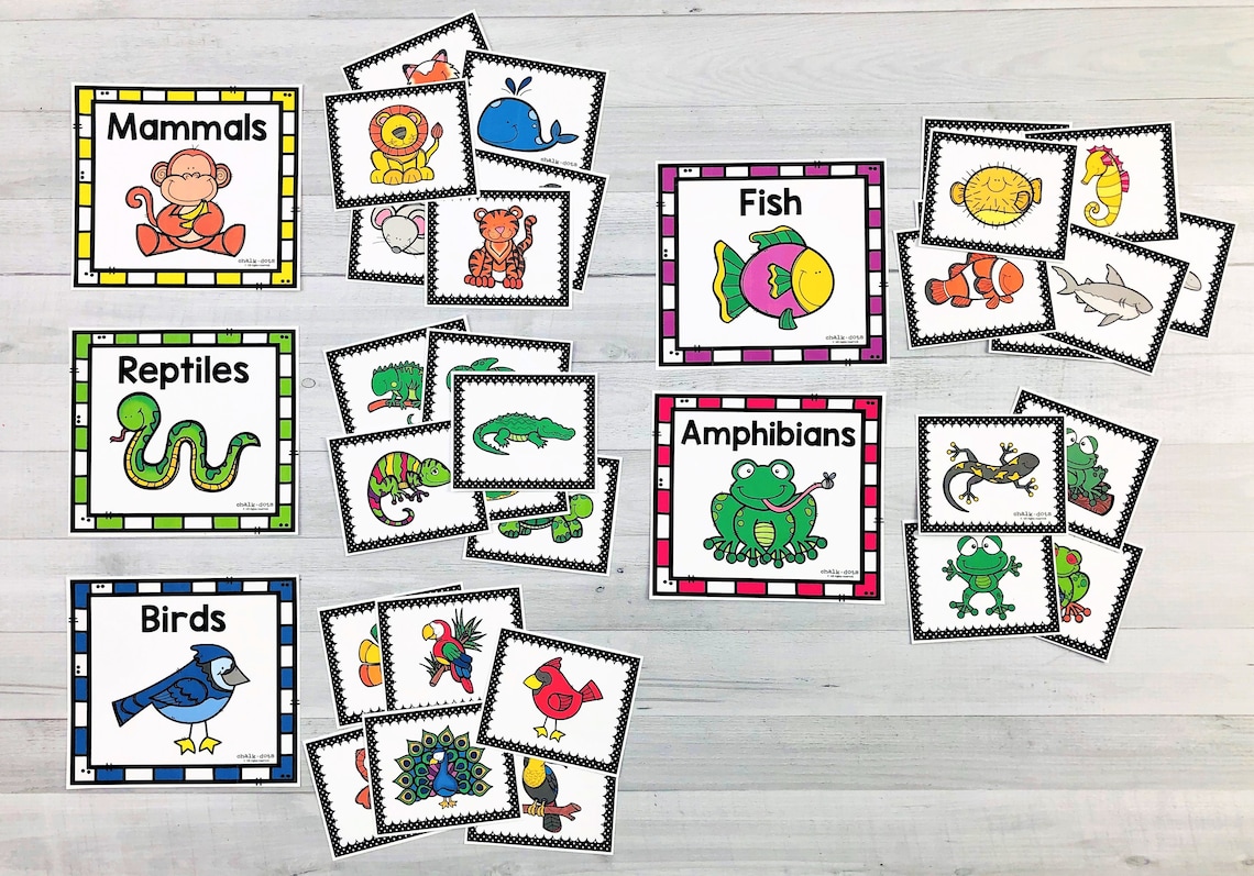 Animal Sort Animal Classification Sorting Activity - Etsy