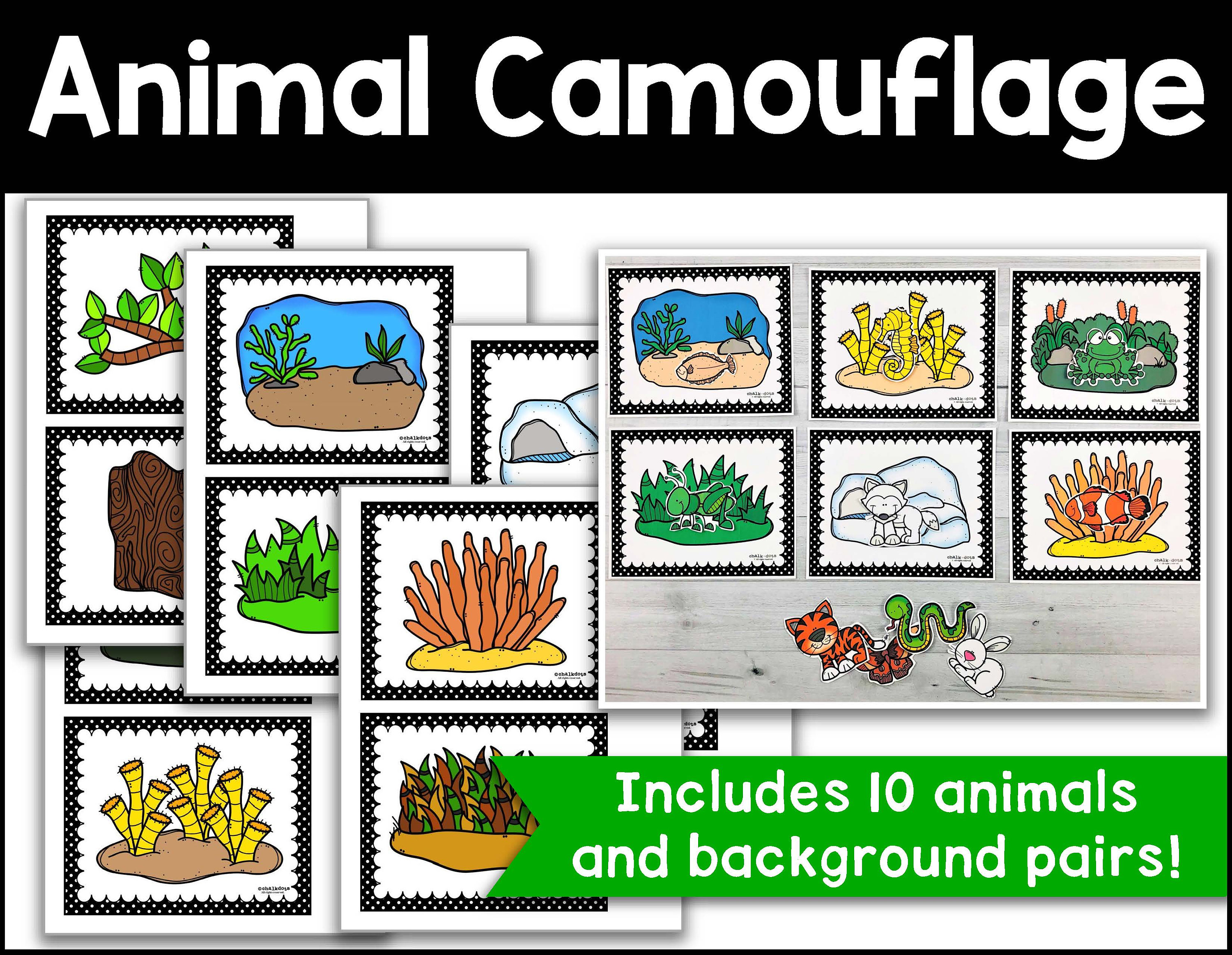 Camouflage Animals For Kids Worksheets
