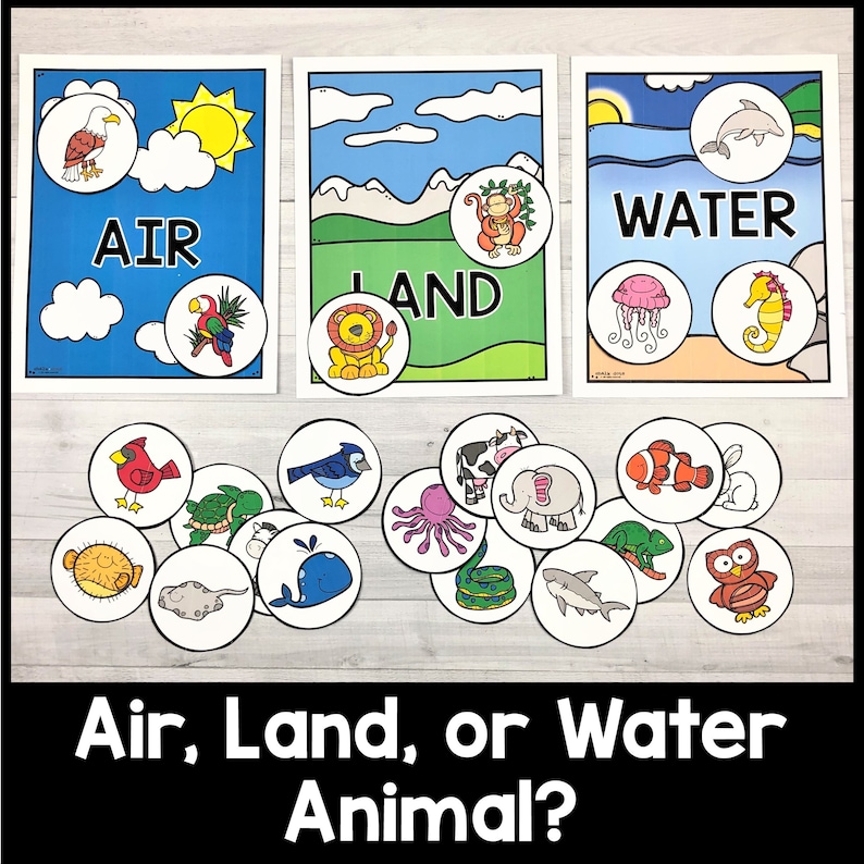 Animal Sort, Air, Land, & Water Animals, Animal Sorting Activity ...