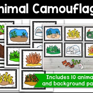 Animal Sorting Activity, Animal Homes and Habitats, Preschool, Prek ...