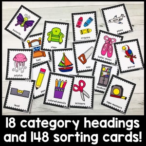 Category Sorting, Classifying Objects, Preschool, Prek, Kindergarten ...