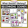 Rhyming Words, Rhyming Words Activity, Which Rhyming Word Doesn't ...