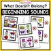 Beginning Sounds, Which Beginning Sound Doesn't Belong, Beginning Sound ...