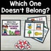 Rhyming Words, Rhyming Words Activity, Which Rhyming Word Doesn't ...