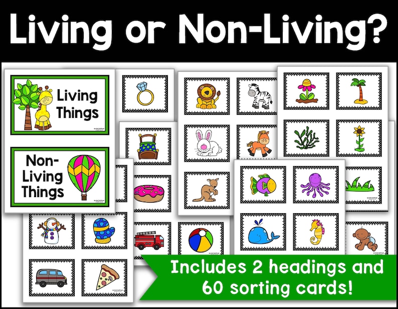 Living and Nonliving Sort, Preschool Sort, Circle Time Activity ...