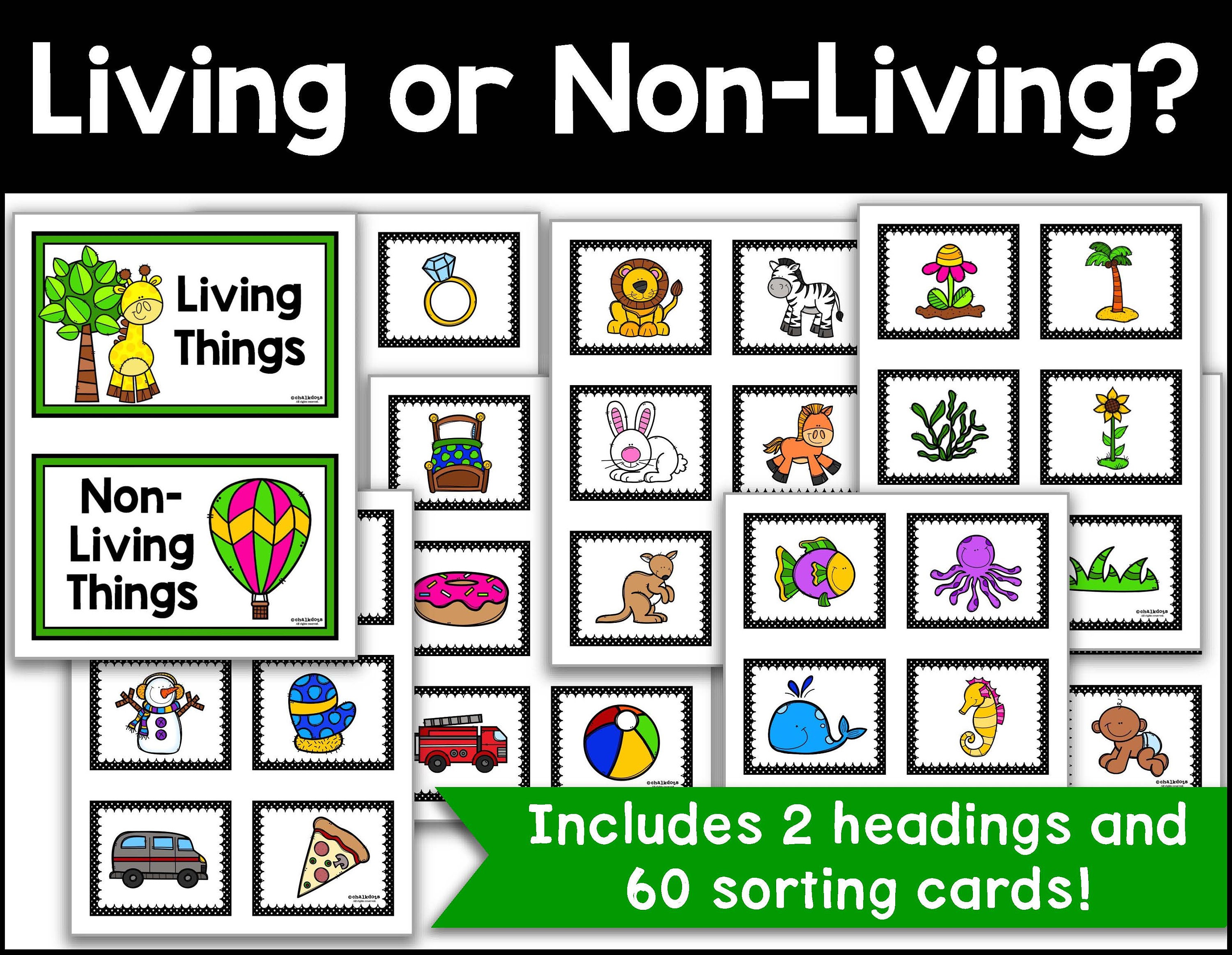 Living and Nonliving Sort, Preschool Sort, Circle Time Activity ...