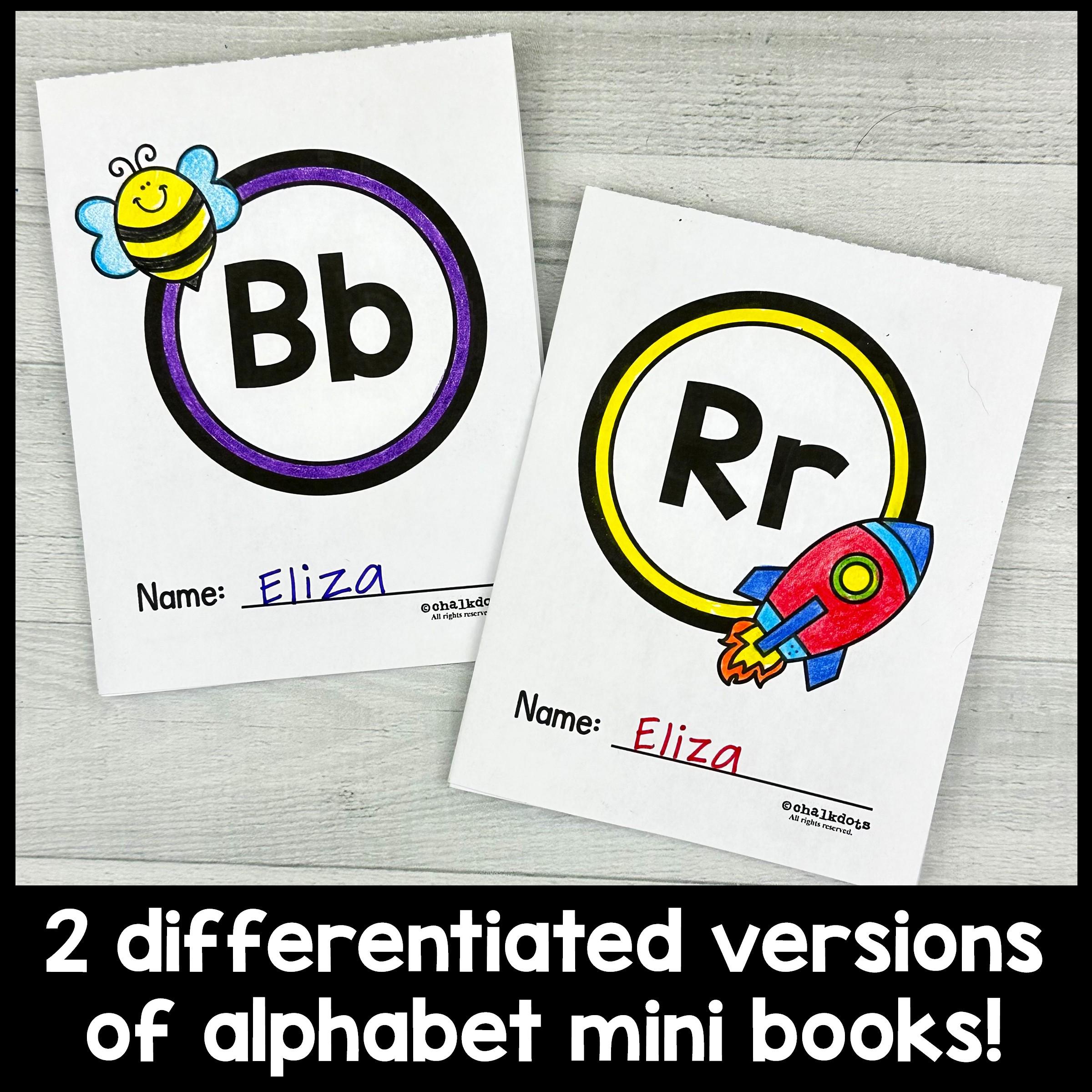 Alphabet Mini Books, Beginning Sounds, Phonics, Printables, Letter ...